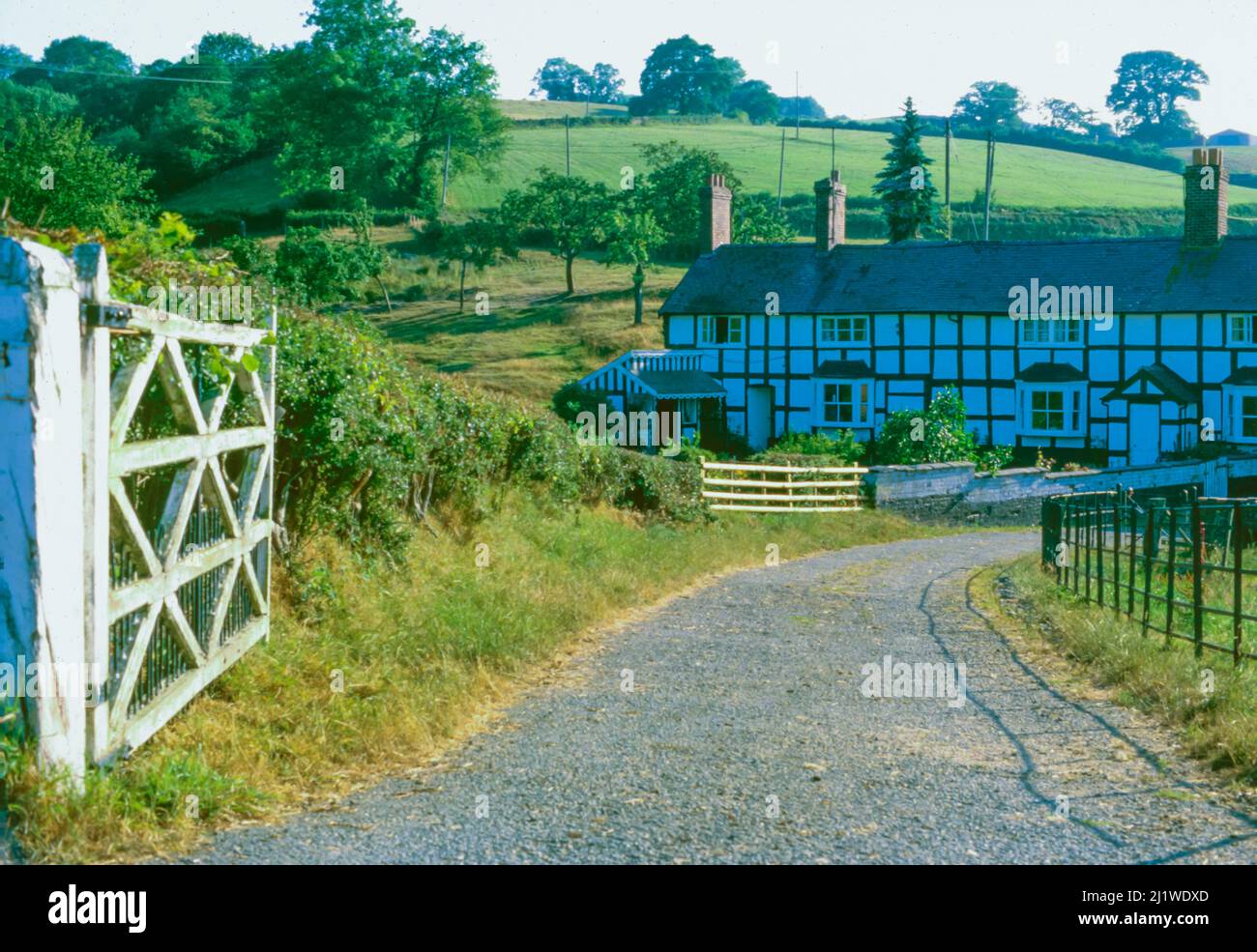 Traditional Rural scenes, England Stock Photo - Alamy