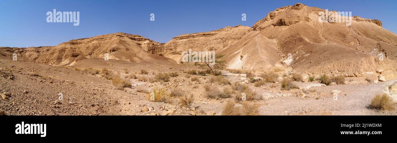 Negev Desert Landscape Photographed at Wadi Peres A seasonal riverbed ...