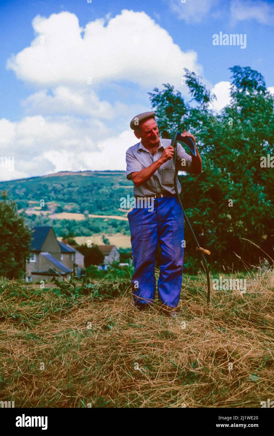 Traditional Rural scenes, England Stock Photo - Alamy