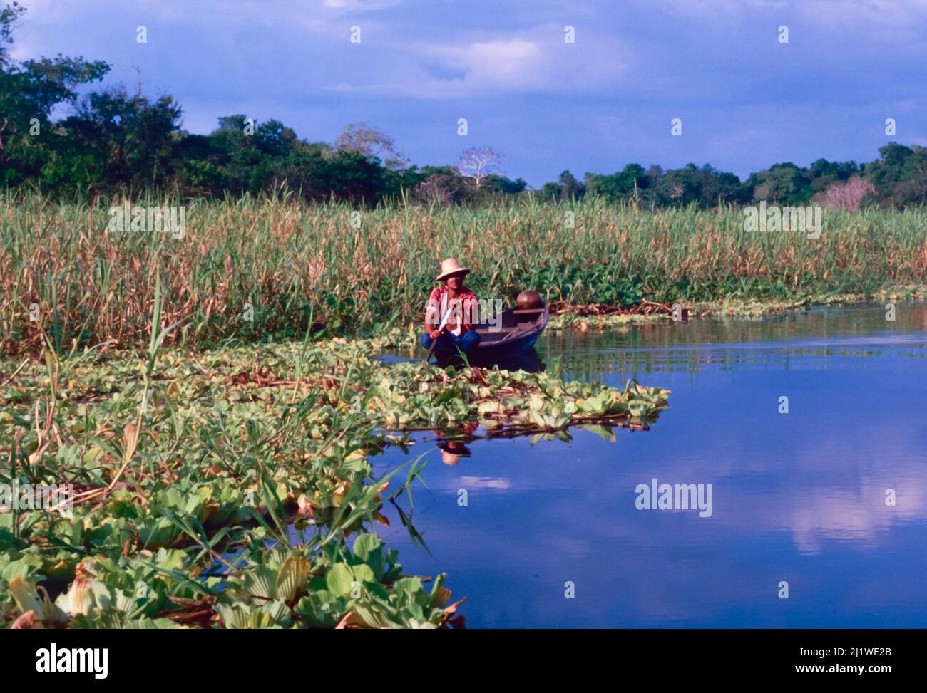 Amazon river scenes hi-res stock photography and images - Alamy
