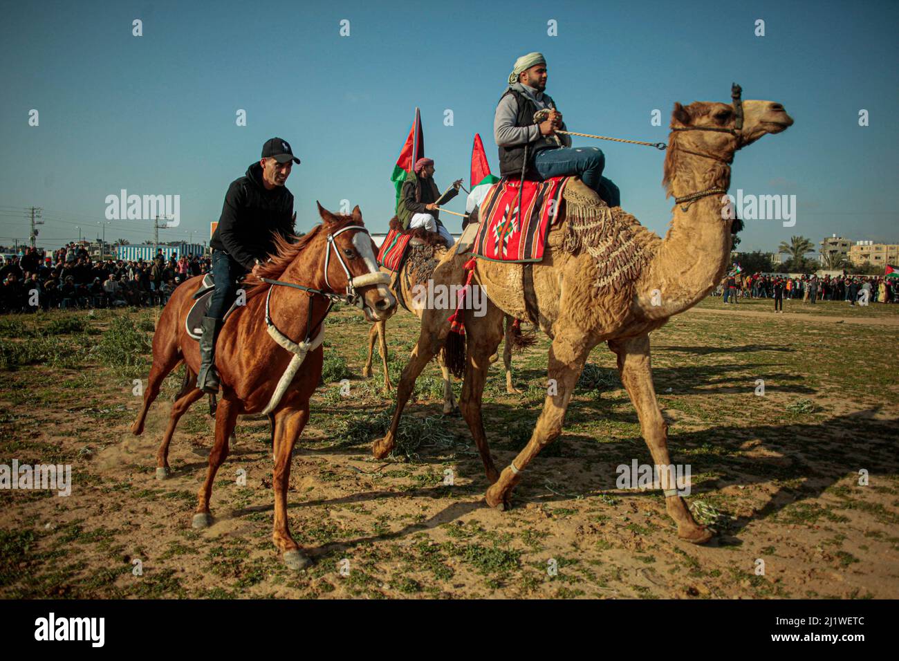 Palestinian Bedouins ride horses and camels as they take part in ...