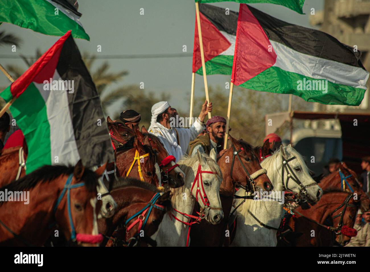 Palestinian Bedouins ride horses and camels as they take part in ...