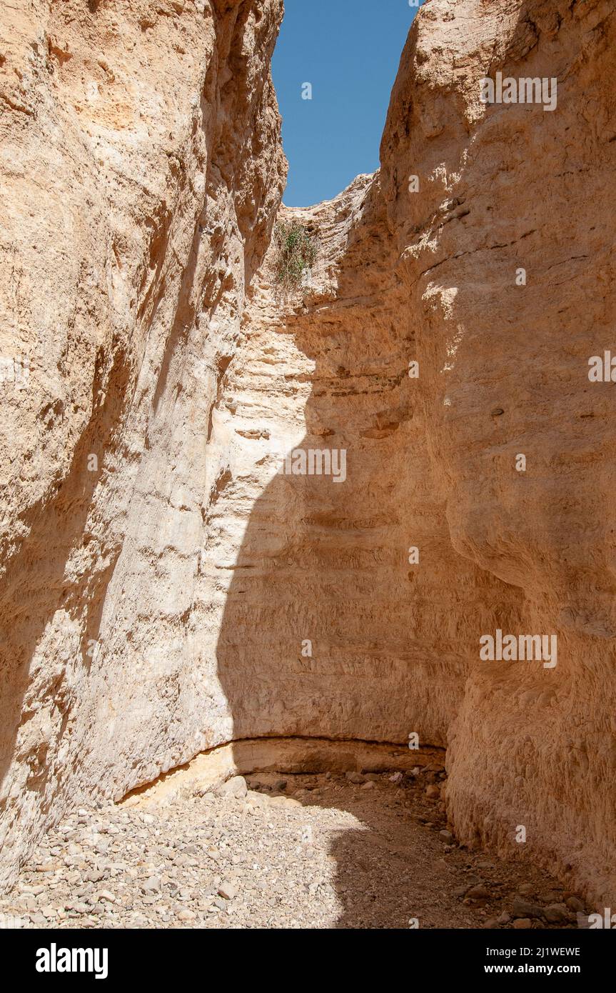 Naturally Eroded rock face Photographed at Wadi Peres A seasonal ...