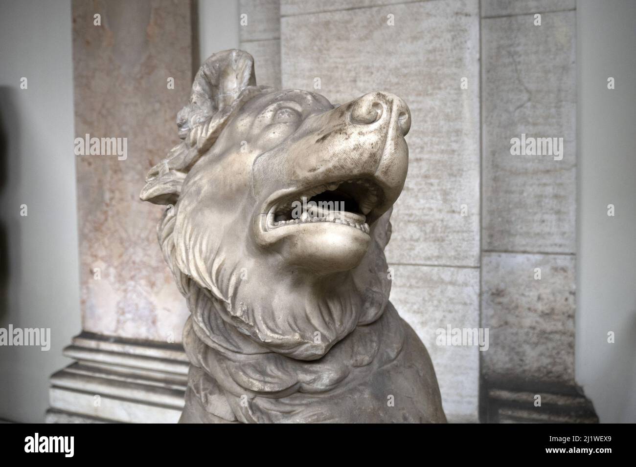 Roman statue animal old marble sculpture detail dog Stock Photo - Alamy