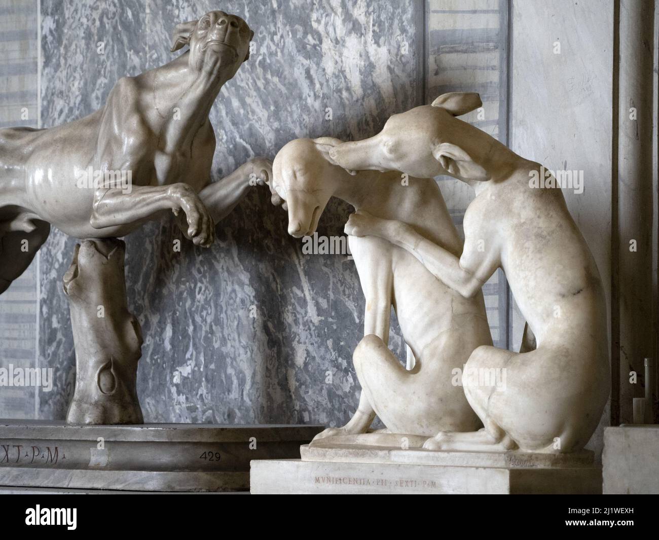 Roman statue animal old marble sculpture detail dog Stock Photo - Alamy