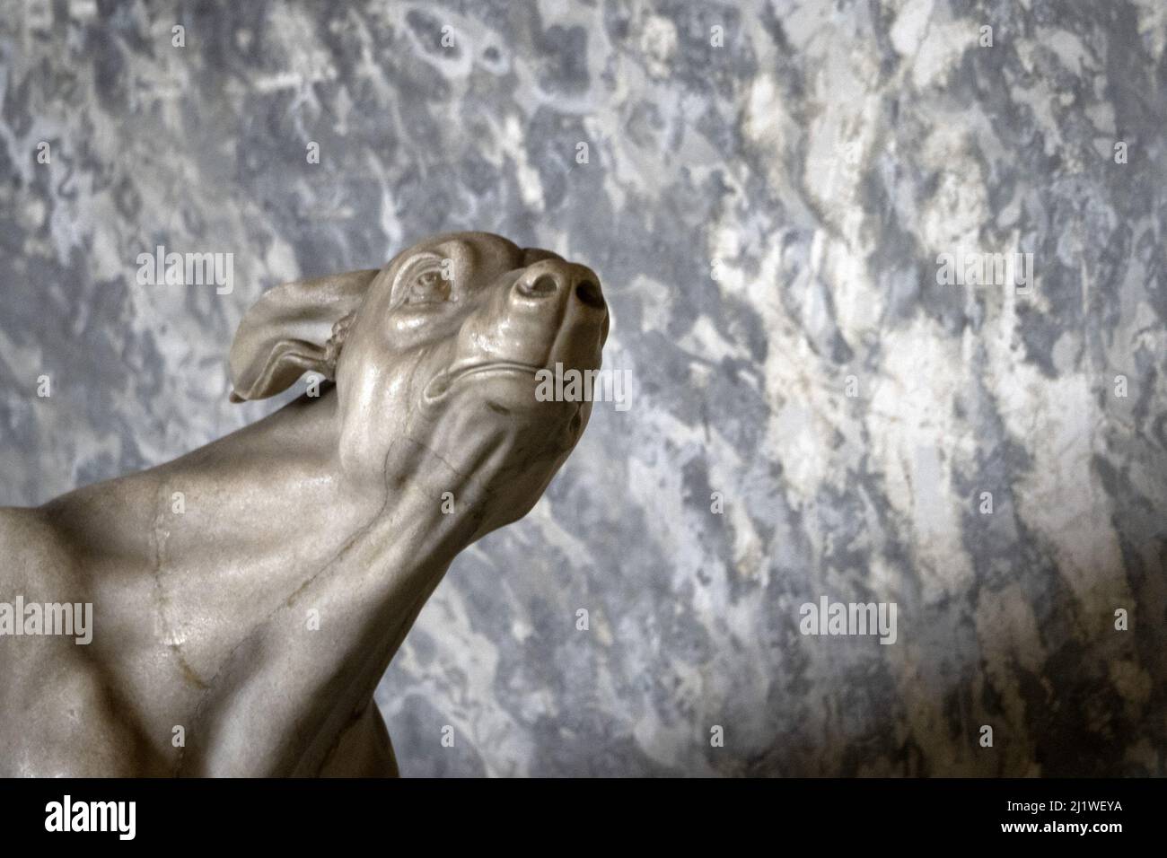 Roman statue animal old marble sculpture detail dog Stock Photo - Alamy