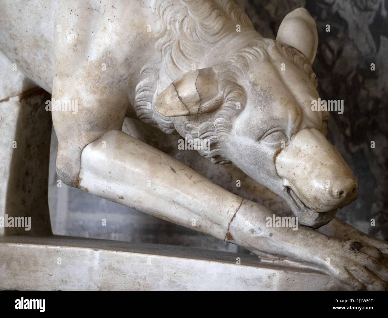 Roman statue animal old marble sculpture detail dog Stock Photo - Alamy