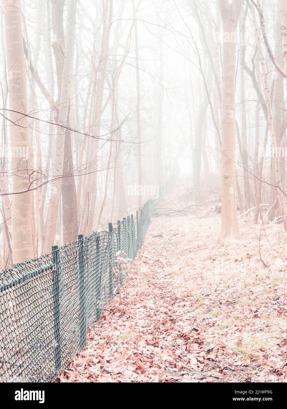Misty outside hi-res stock photography and images - Alamy