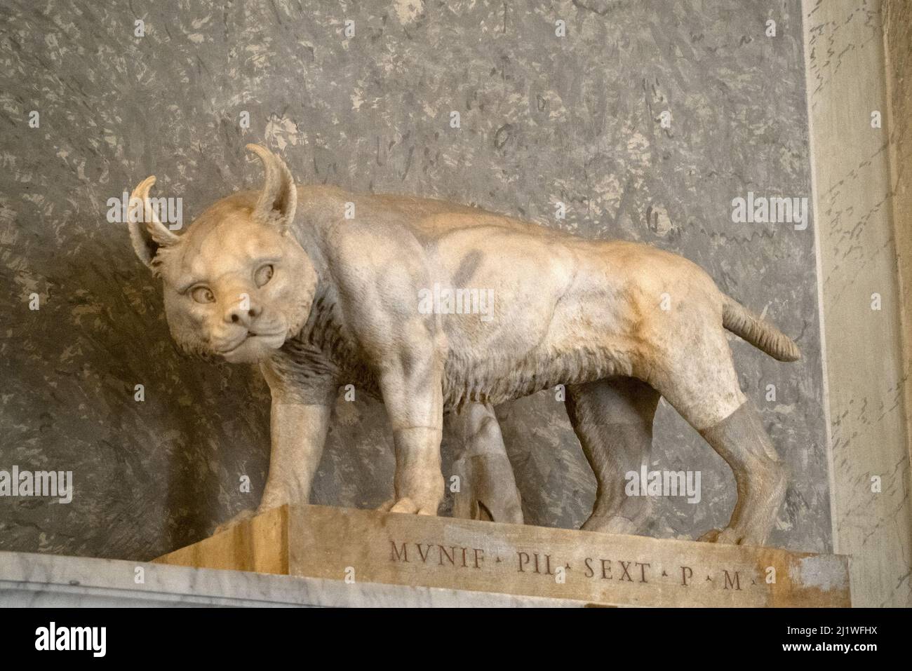 Roman statue animal old marble sculpture detail lynx Stock Photo - Alamy