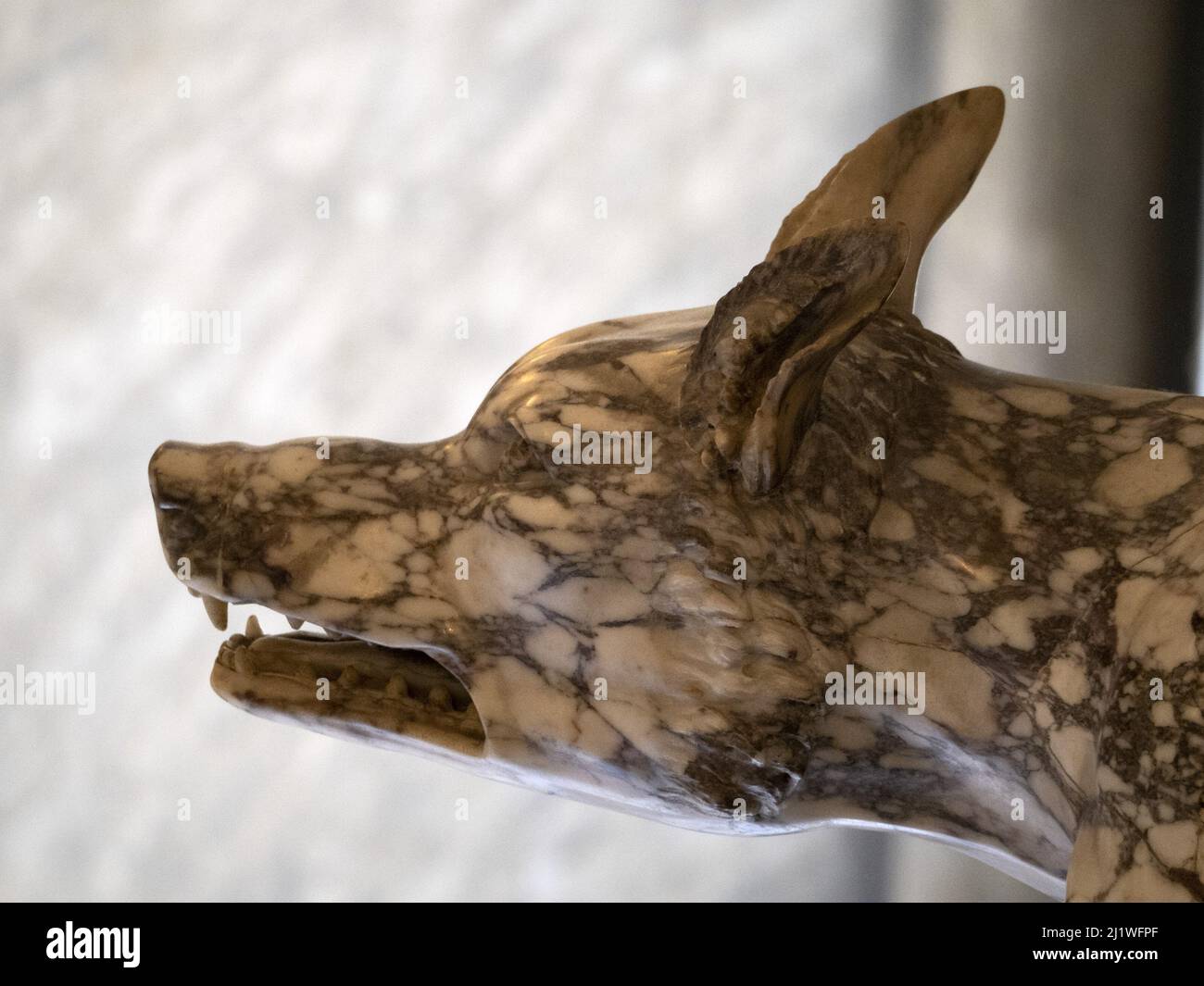 Roman statue animal old marble sculpture detail wolf Stock Photo - Alamy