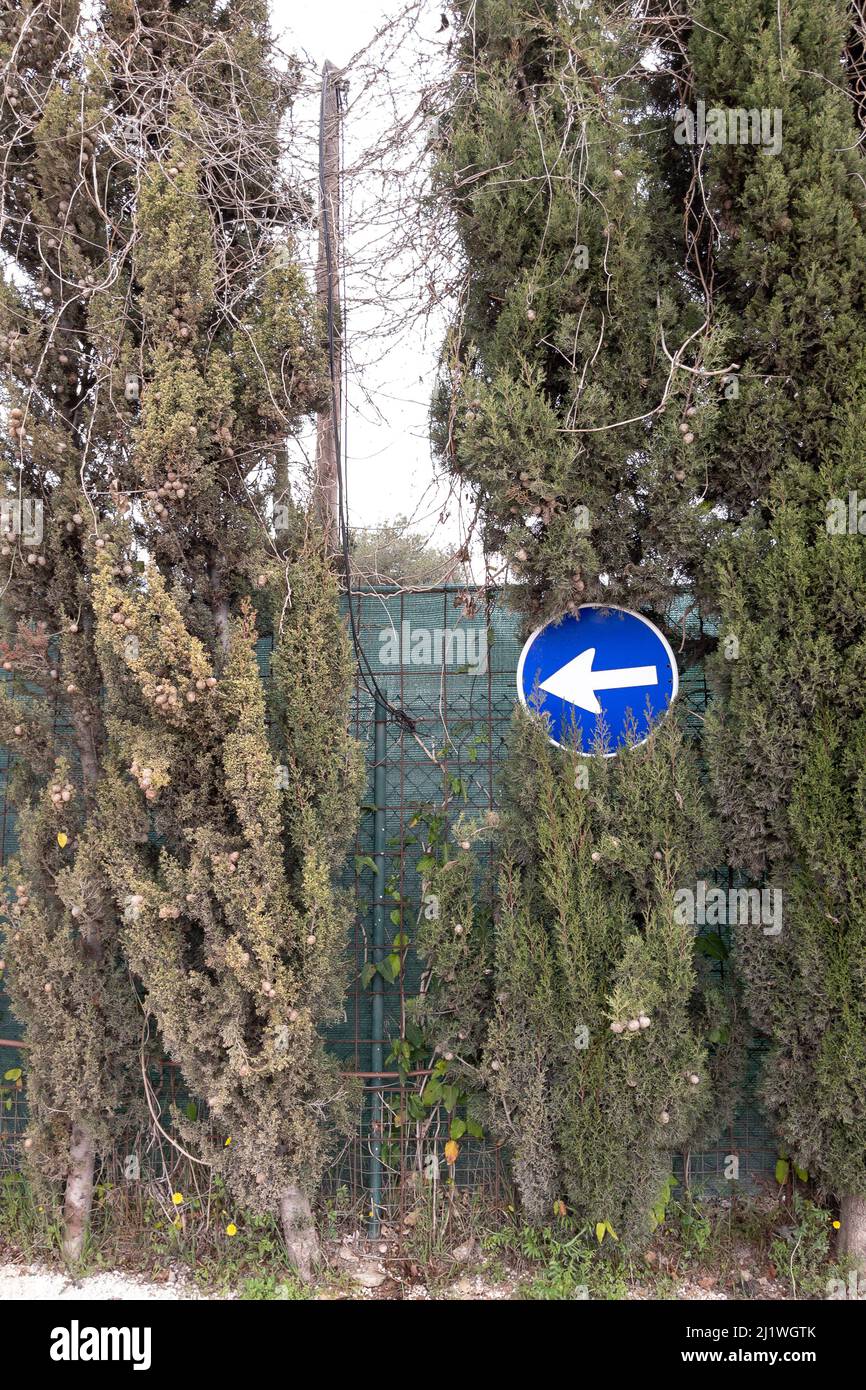 Vector set circle arrow hi-res stock photography and images - Alamy