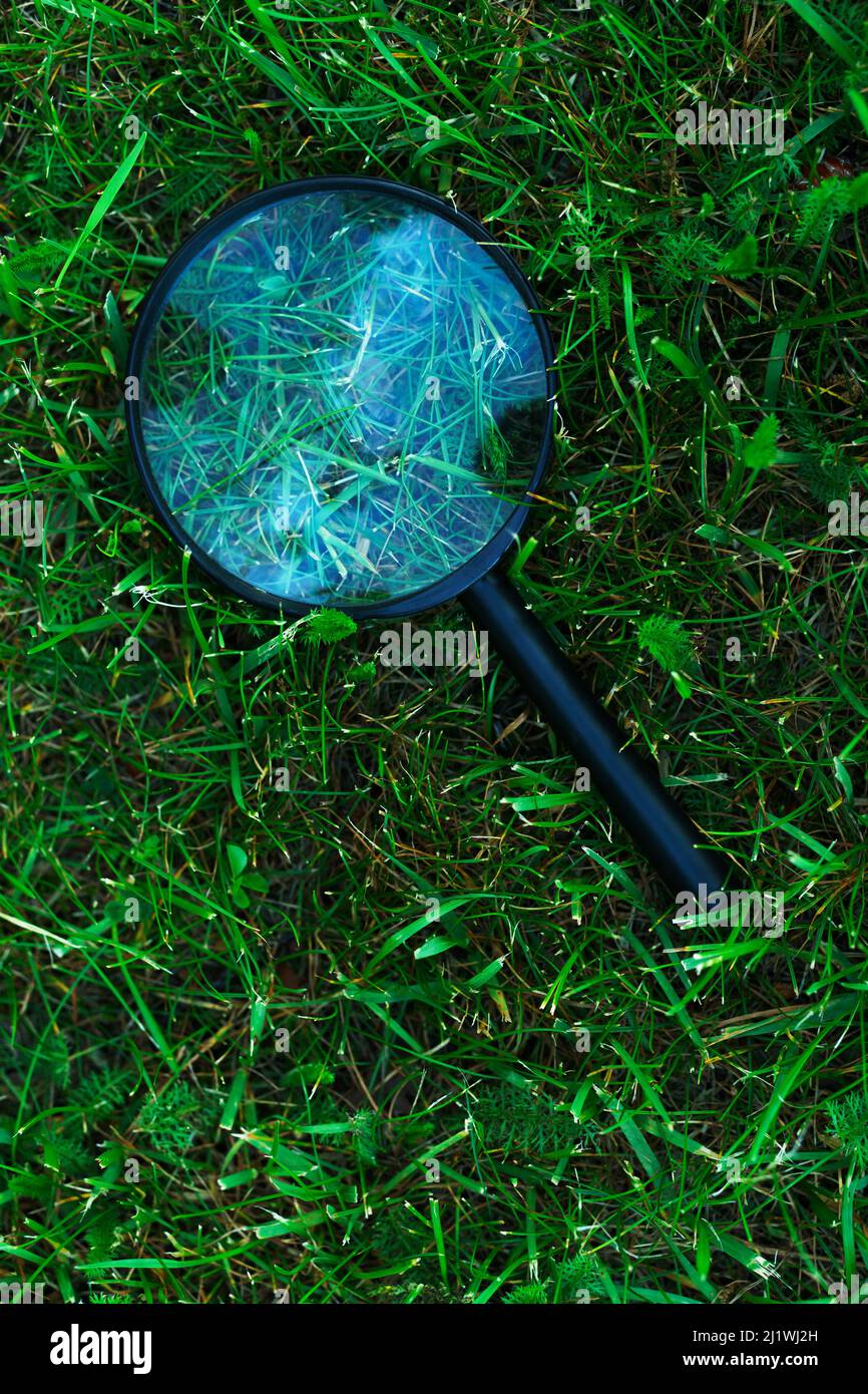 Magnifying glass studies hi-res stock photography and images - Alamy