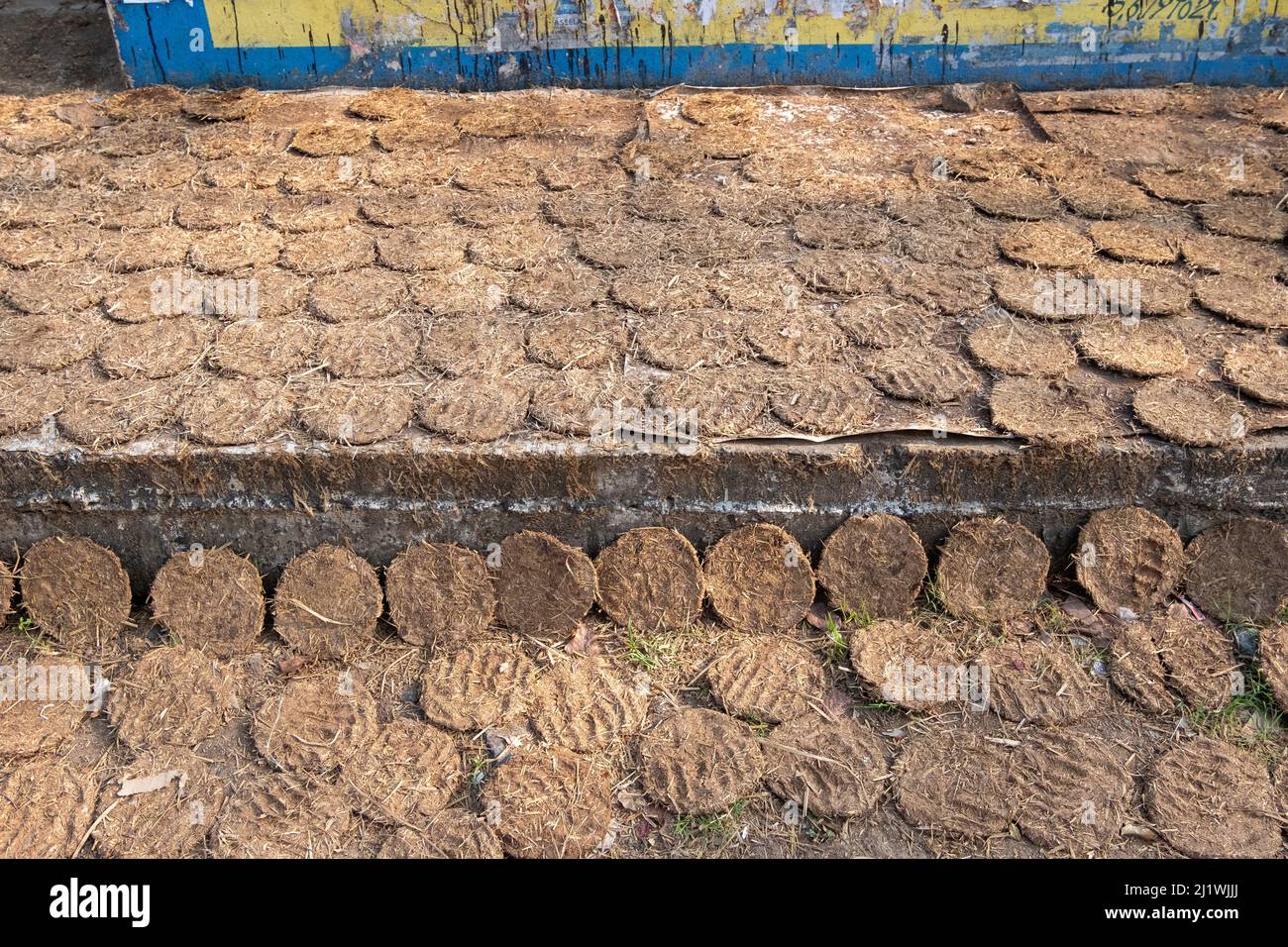 Cooking With Cow Dung