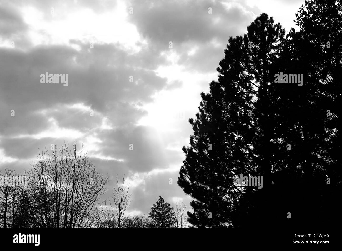 Bright and cheerful scene Black and White Stock Photos & Images - Alamy