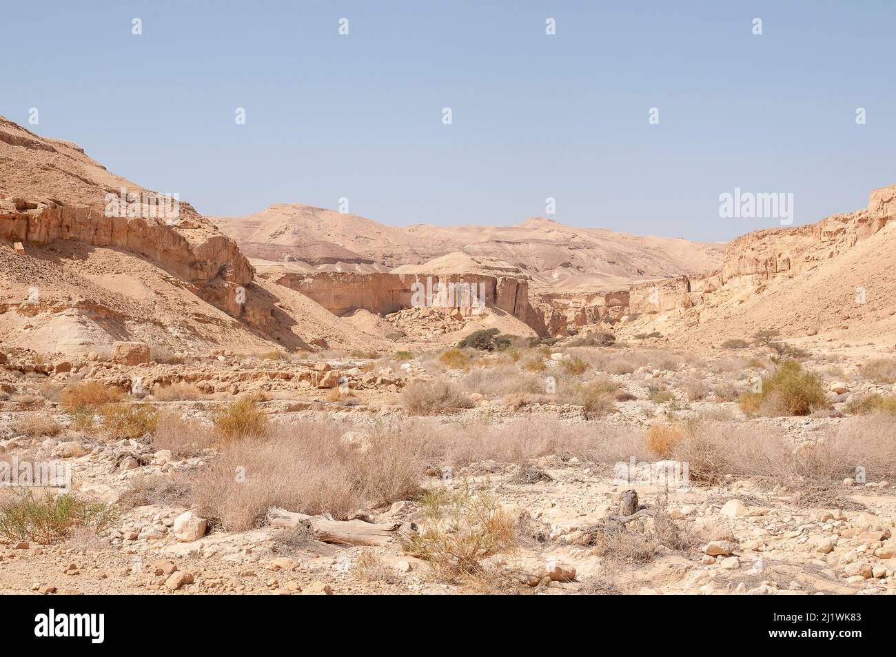 Negev Desert Landscape Photographed at Wadi Peres A seasonal riverbed ...