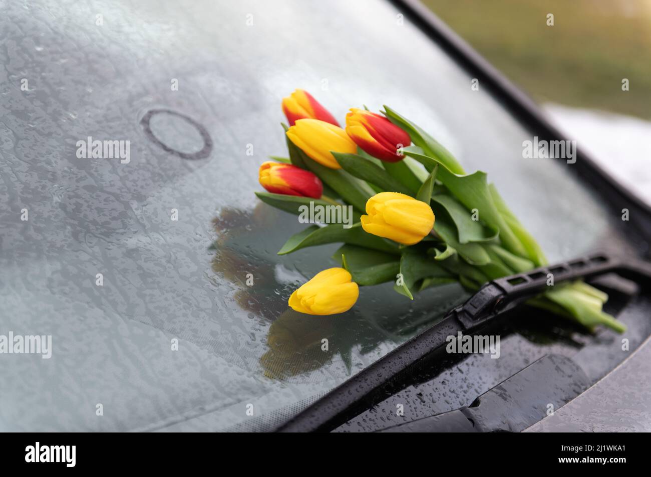 Windshield car flowers hi-res stock photography and images - Alamy