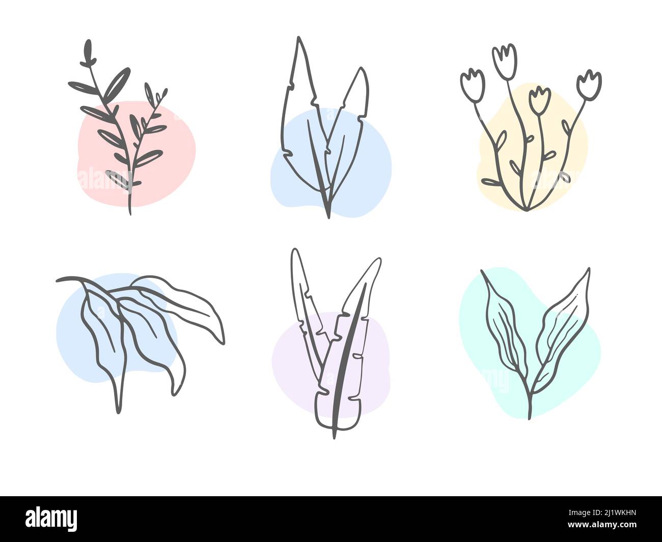 Grow purple wildflowers Stock Vector Images - Alamy