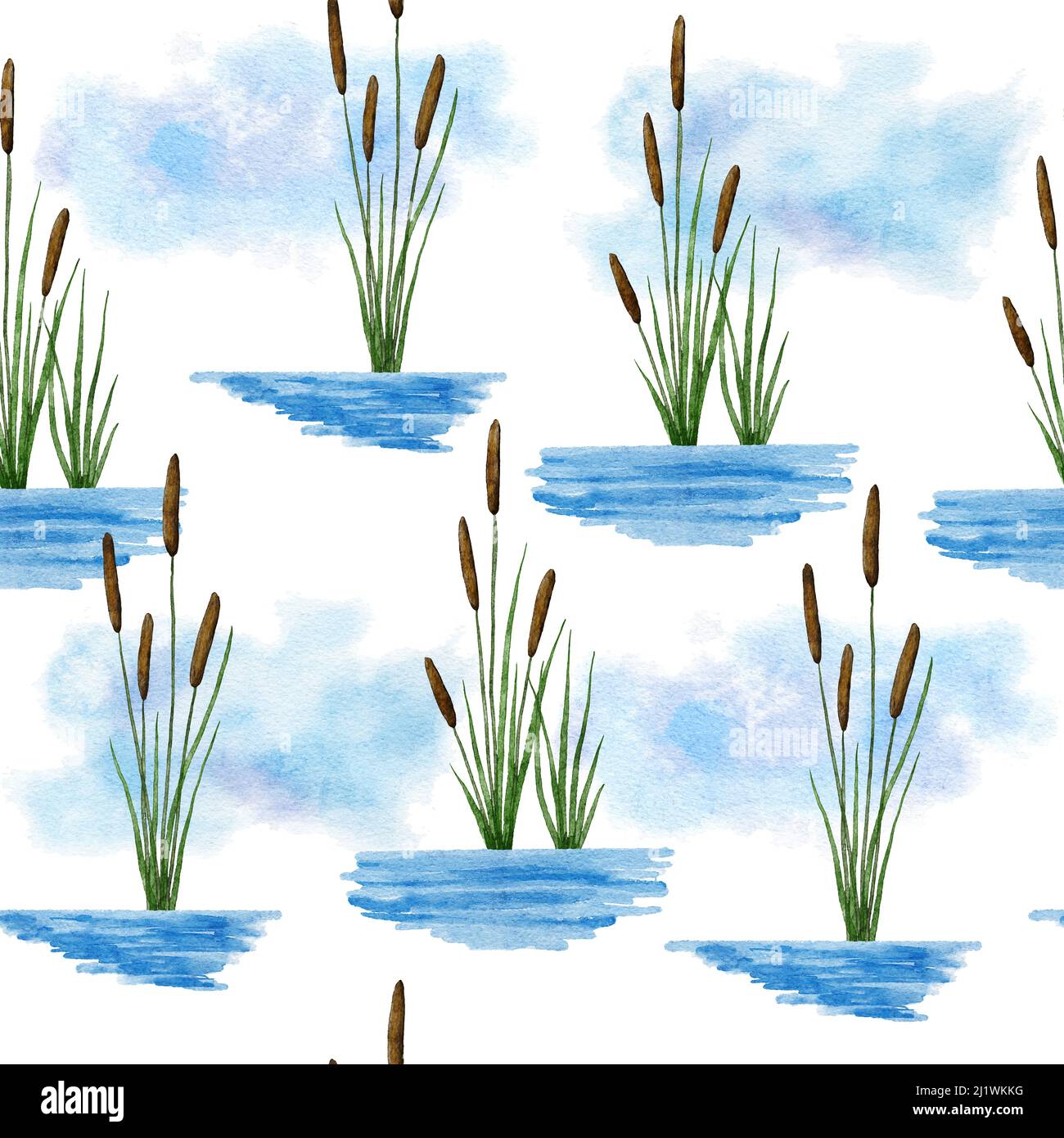Watercolor hand drawn seamless pattern with typha plant in river lake ...