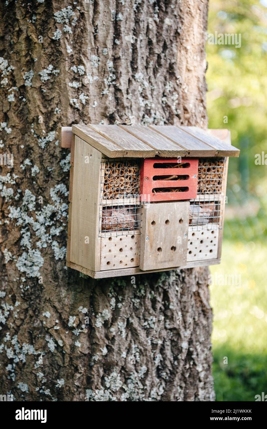 Insect hotel structure created natural hi-res stock photography and ...