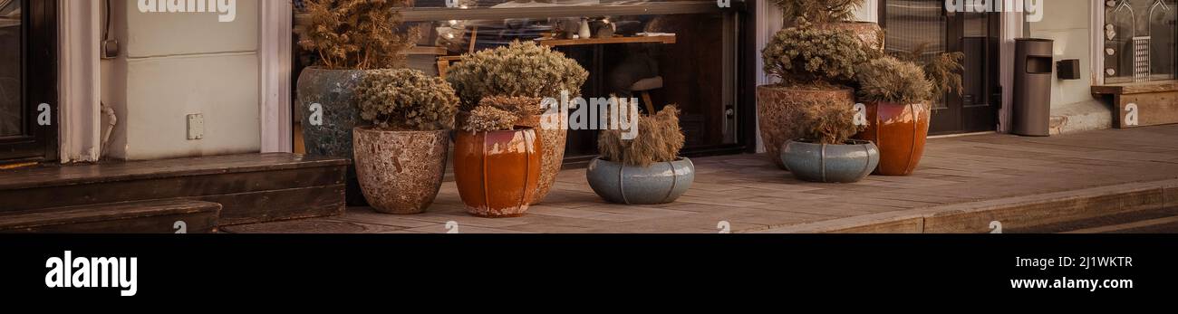 View from the street to the entrance to a cozy cafe. Flowers in pots at ...