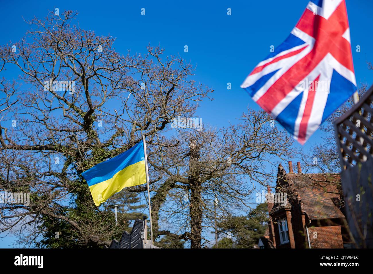 The Ukrainian and Union Jack flags flying side by side in solidarity ...