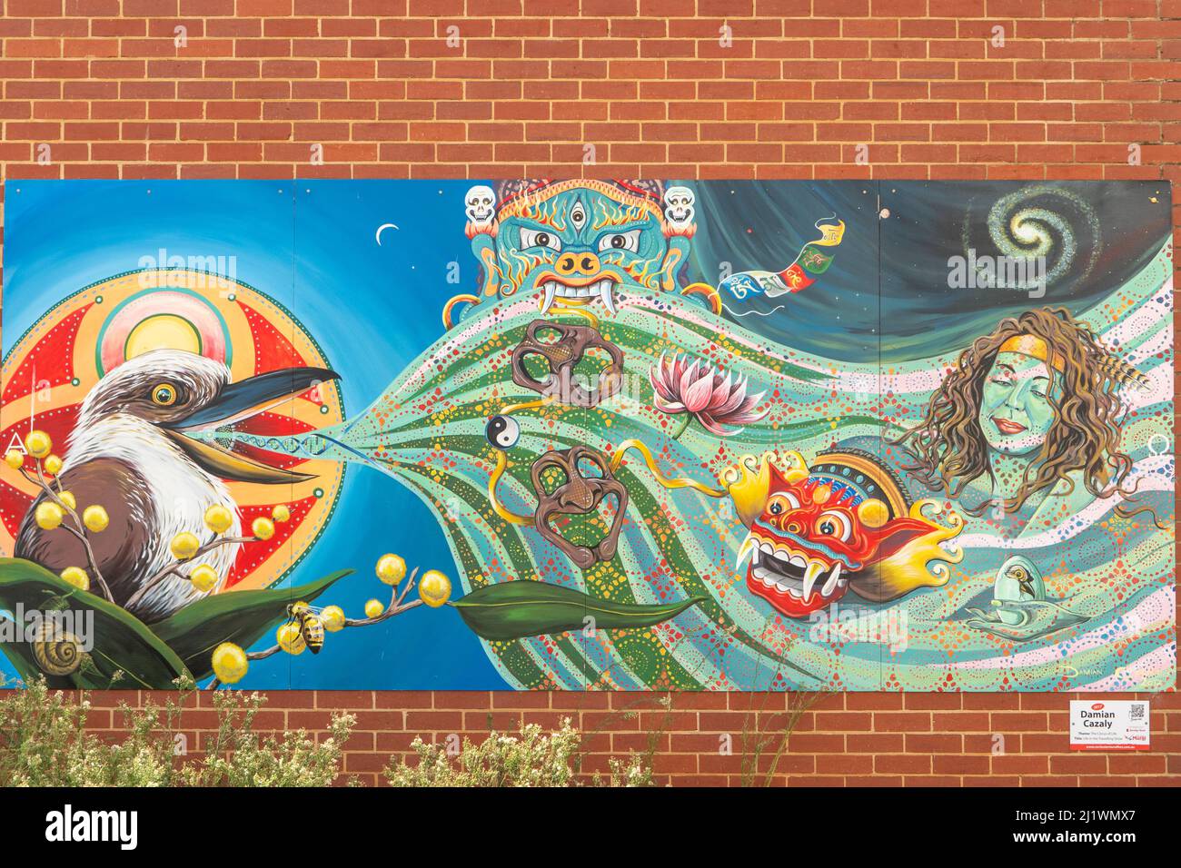 Damian cazaly hi-res stock photography and images - Alamy