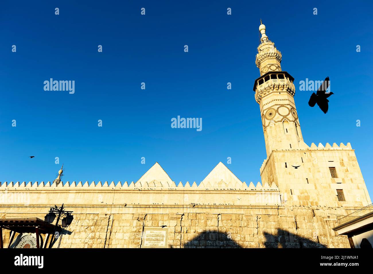 Syria. Damascus. The Umayyad Mosque (Great Mosque of Damascus Stock ...