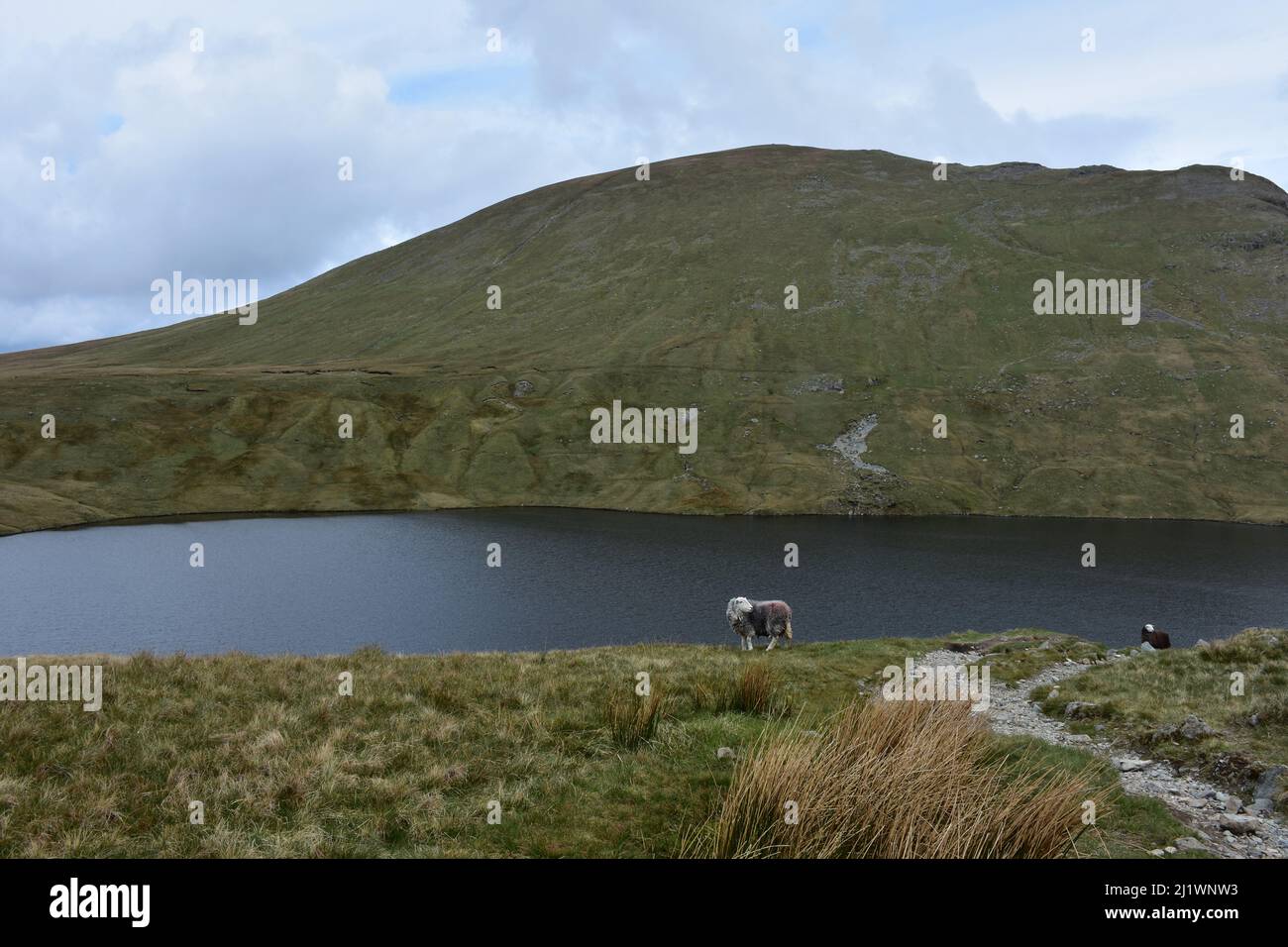 Hillside mountain narrow footpath hi-res stock photography and images ...