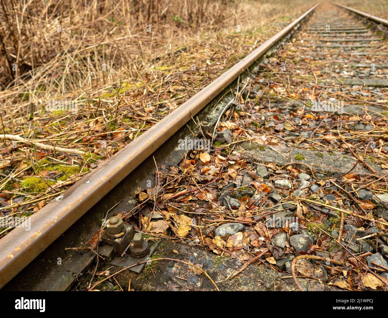 An old and rustic railway with dried leaves and grasses during autumn ...