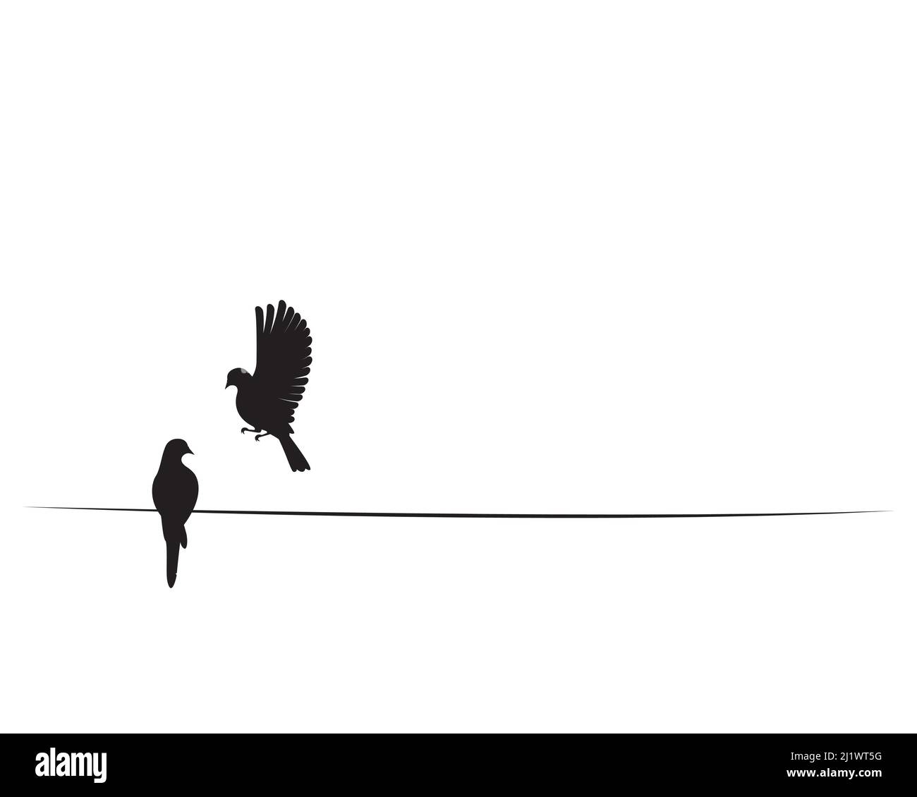 Bird Silhouette On Wire