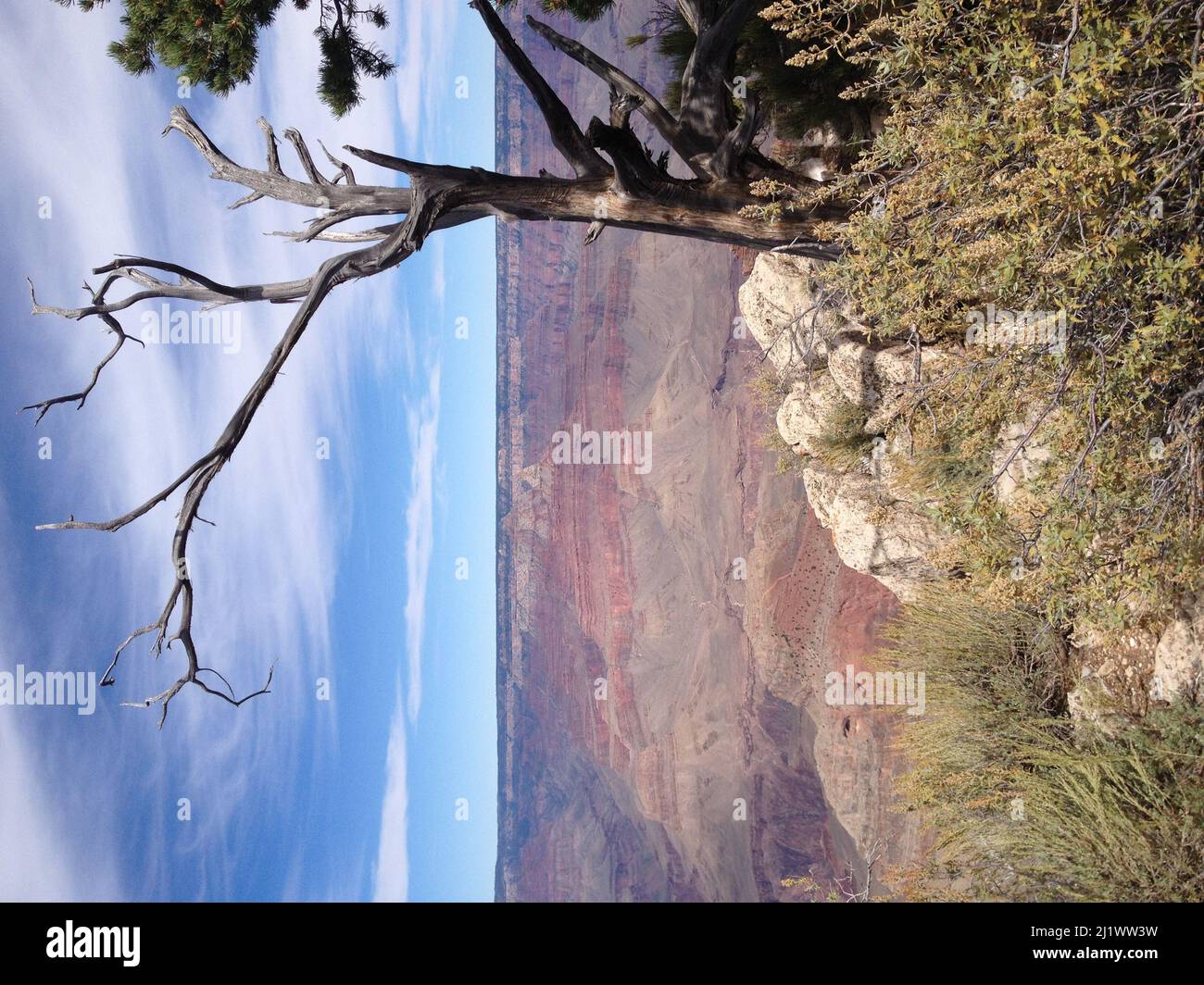 A vertical shot of the landscape of the Grand Canyon National Park in ...