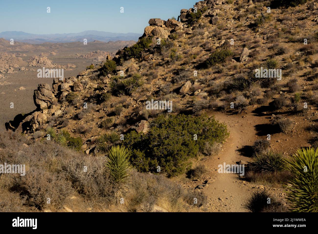 Panorama loop trail joshua tree hi-res stock photography and images - Alamy