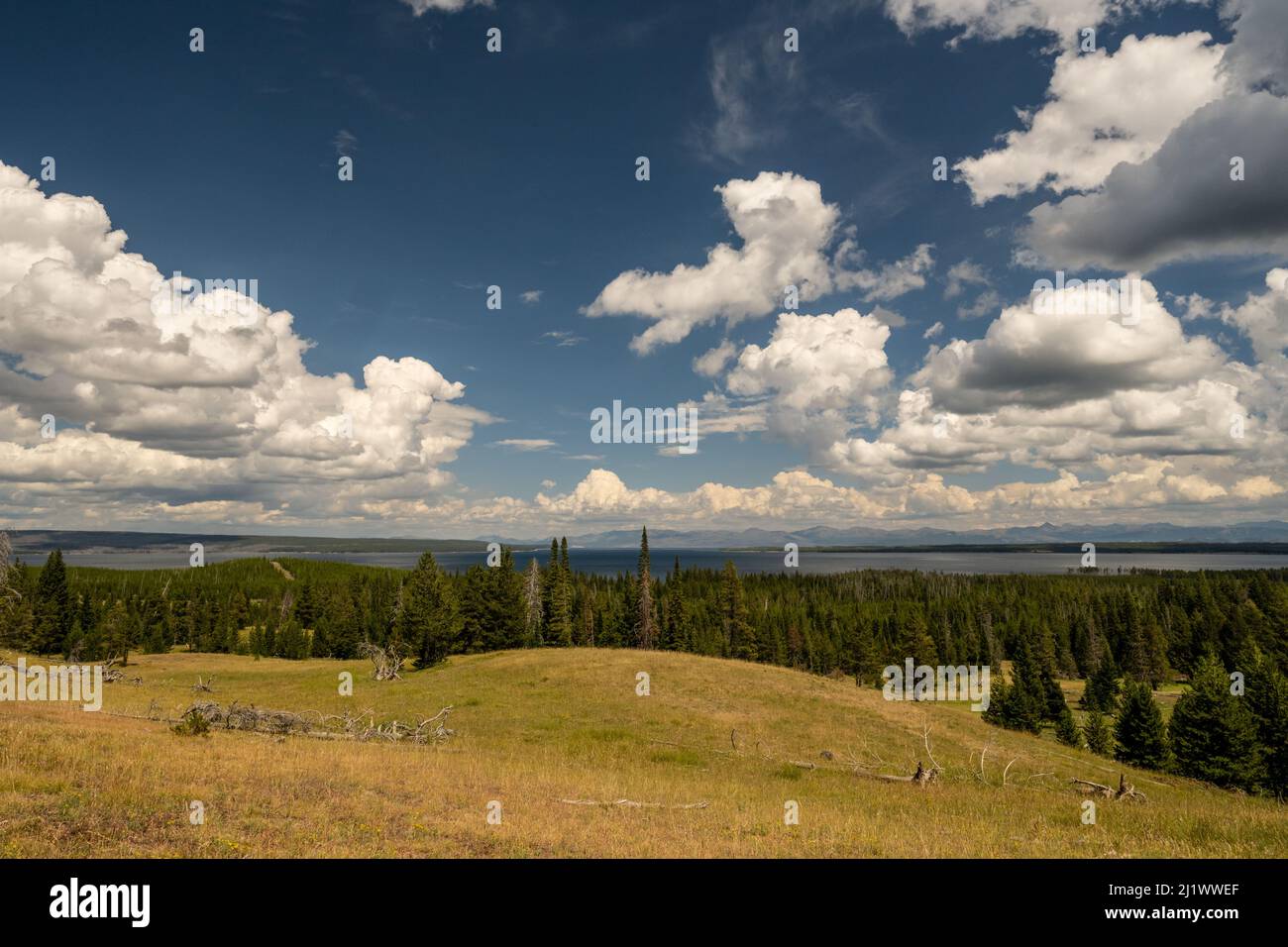 Rolling Meadow Above West Thumb And Yellowstone Lake in Yellowstone ...