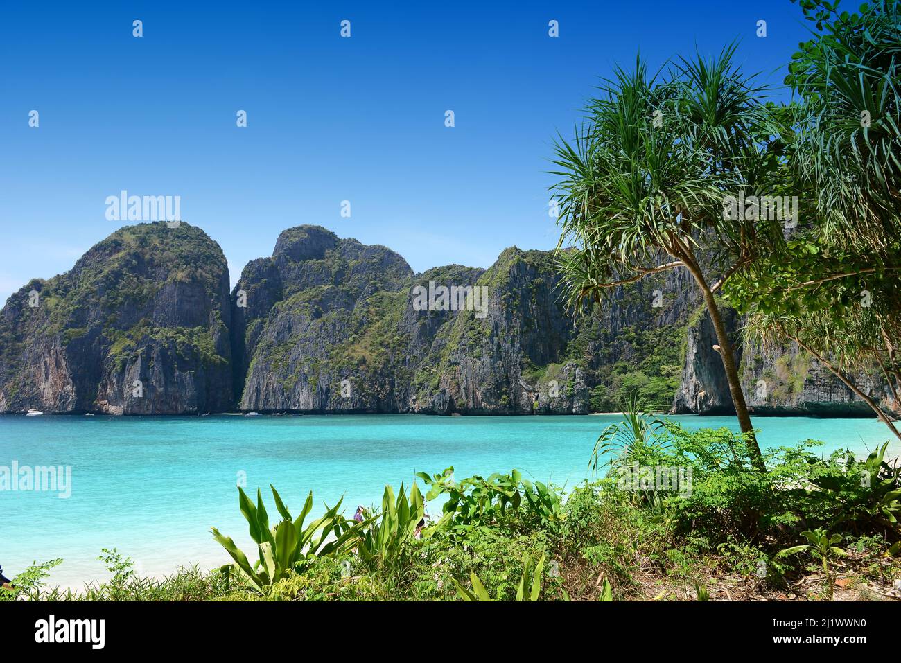 Maya Bay Now Reopened 2022, Amazing Maya Bay on Phi Phi Islands ...