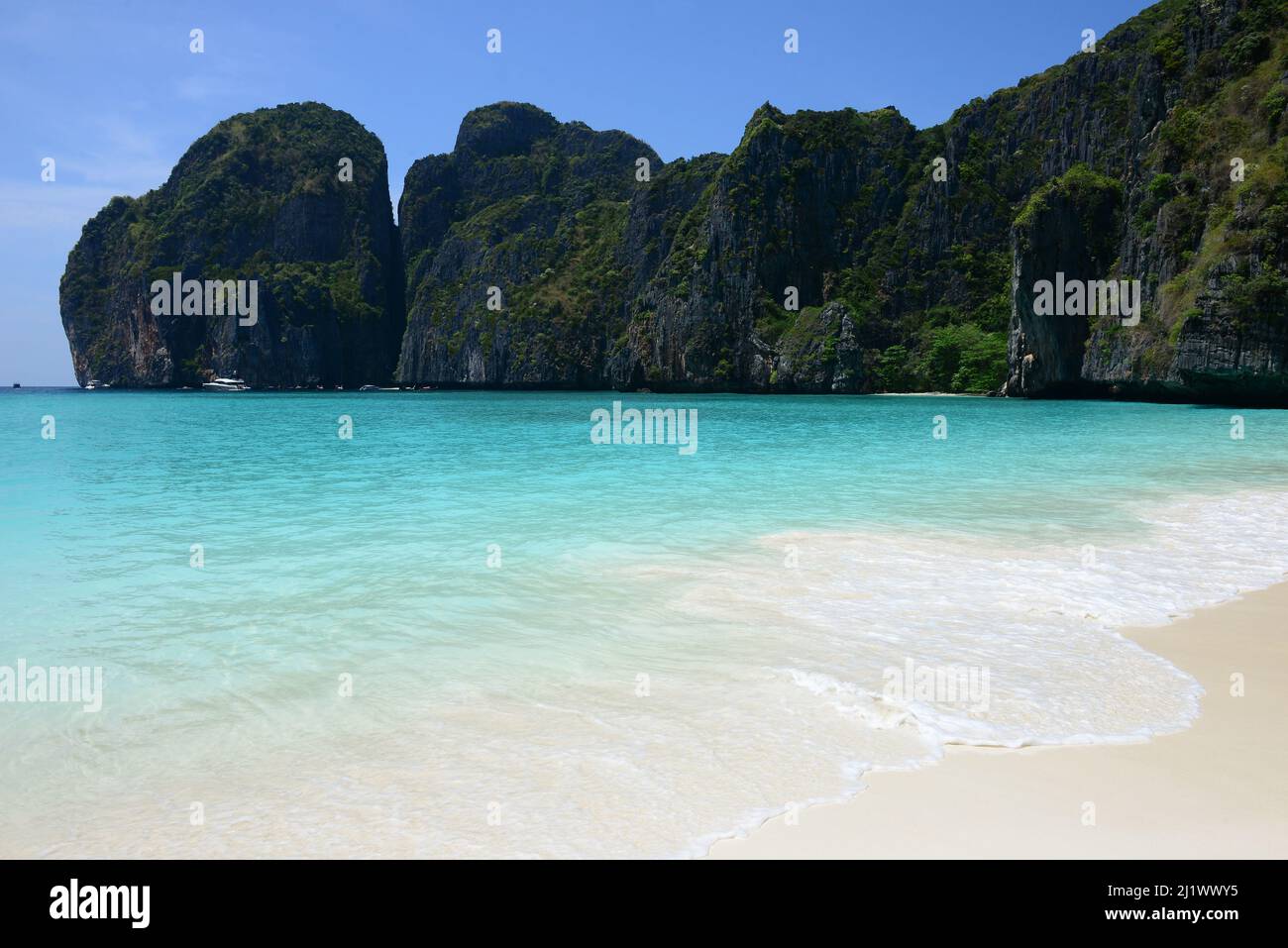 Maya Bay Now Reopened 2022, Amazing Maya Bay on Phi Phi Islands ...