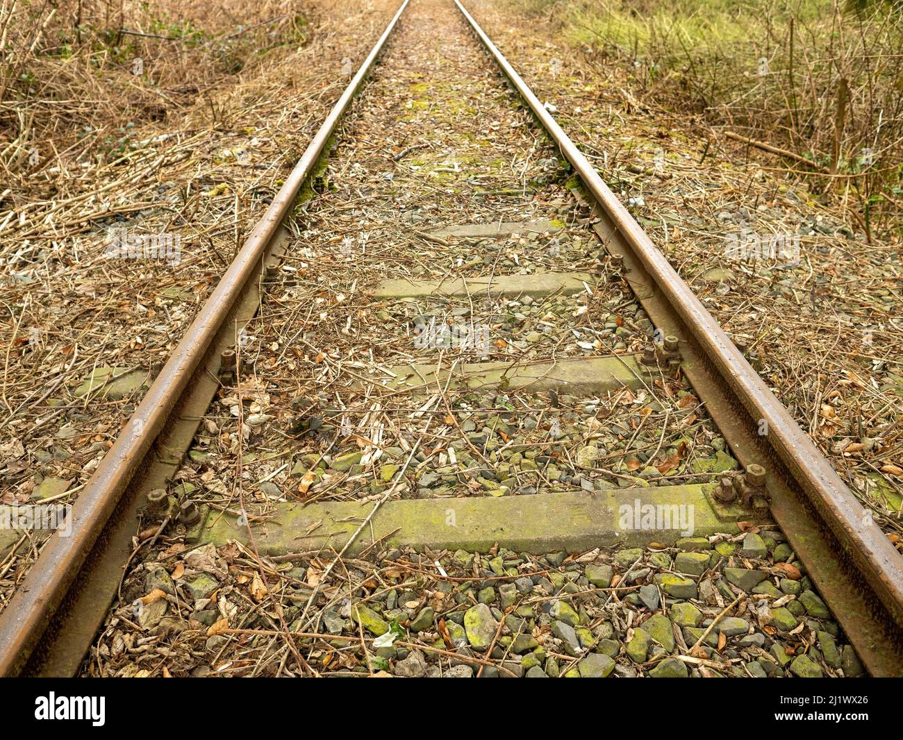 An old and rustic railroad with dried leaves and grasses during autumn ...