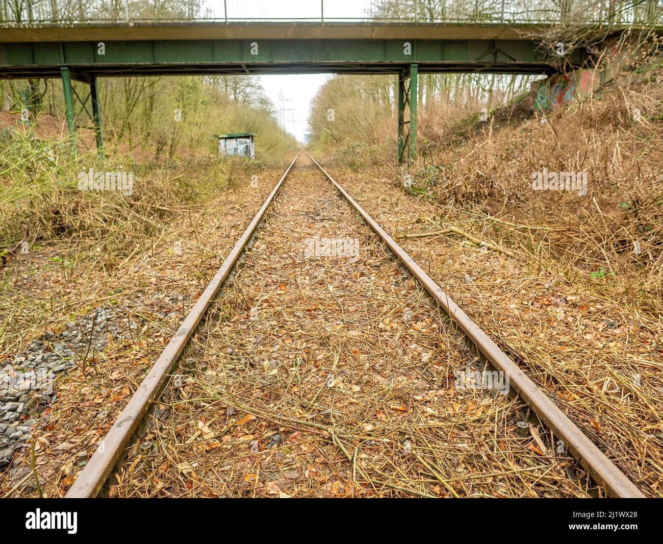An old and rustic railroad with dried leaves and grasses during autumn ...
