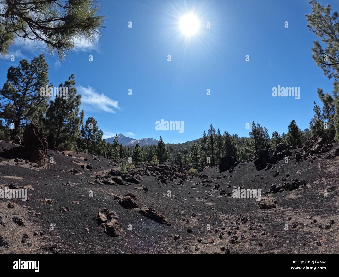 Volcanic landscape with lava fields erupted from Chinyero and Teide ...