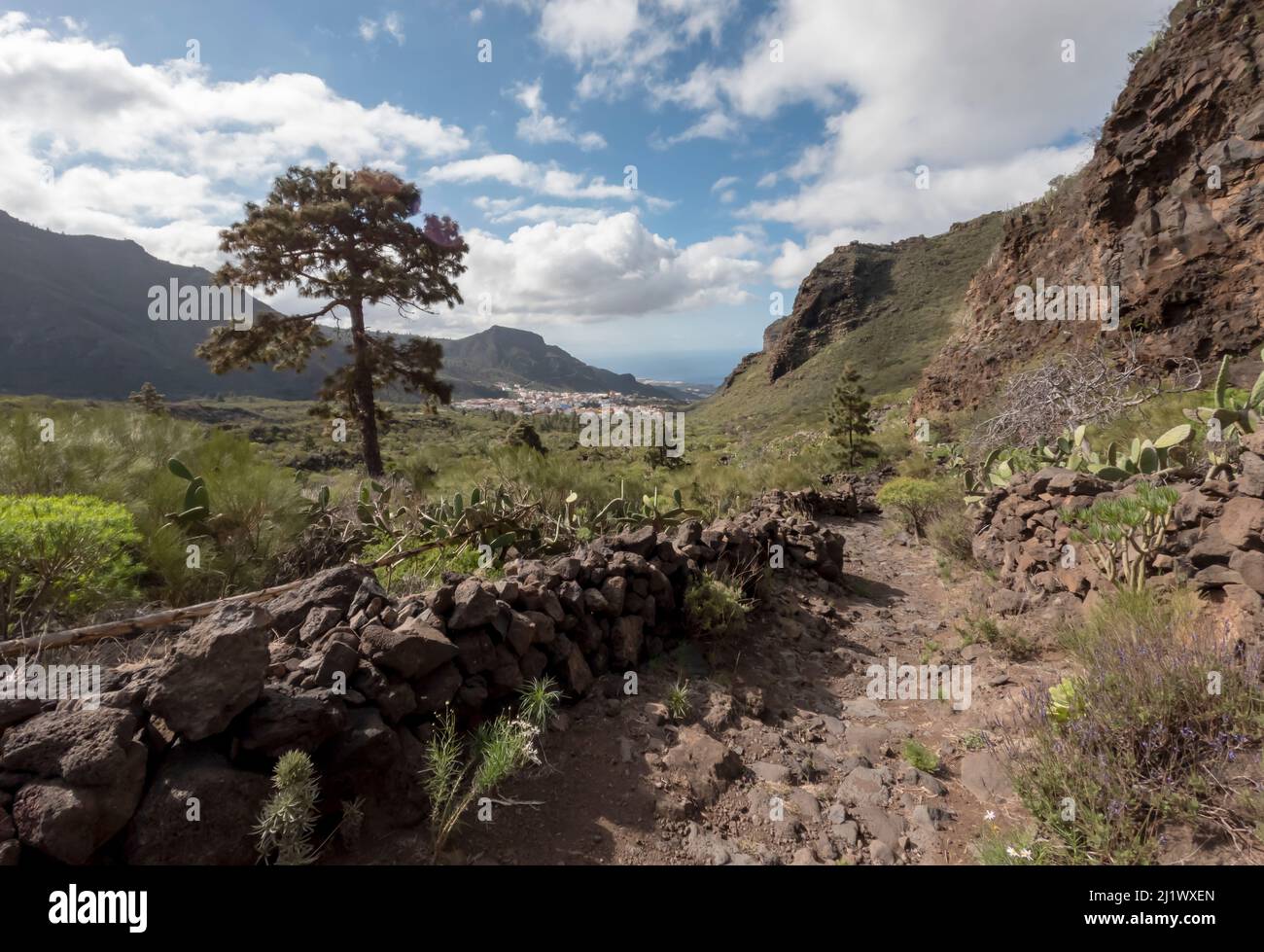 Barranco Seco gorge landscape with steep slopes, Tenerife, Canary ...