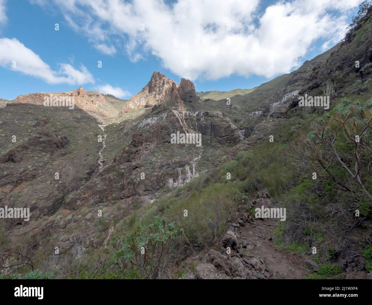 Flora de seco hi-res stock photography and images - Alamy