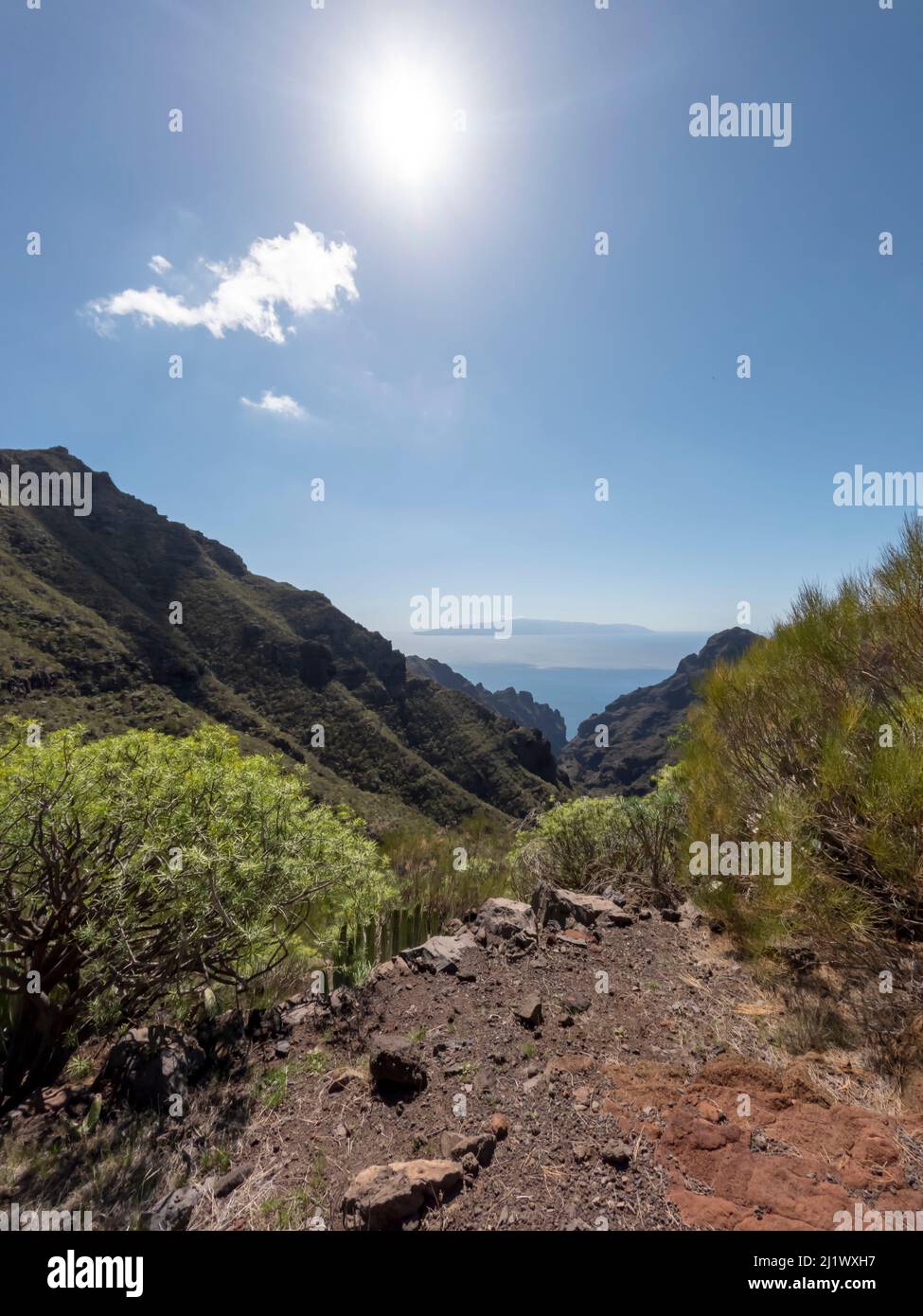 Barranco Seco gorge landscape with steep slopes, Tenerife, Canary ...