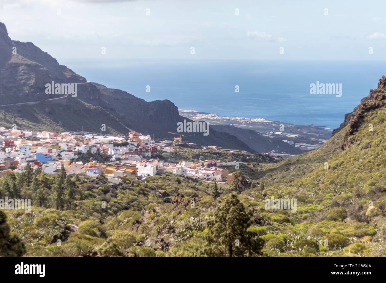 Flora de seco hi-res stock photography and images - Alamy