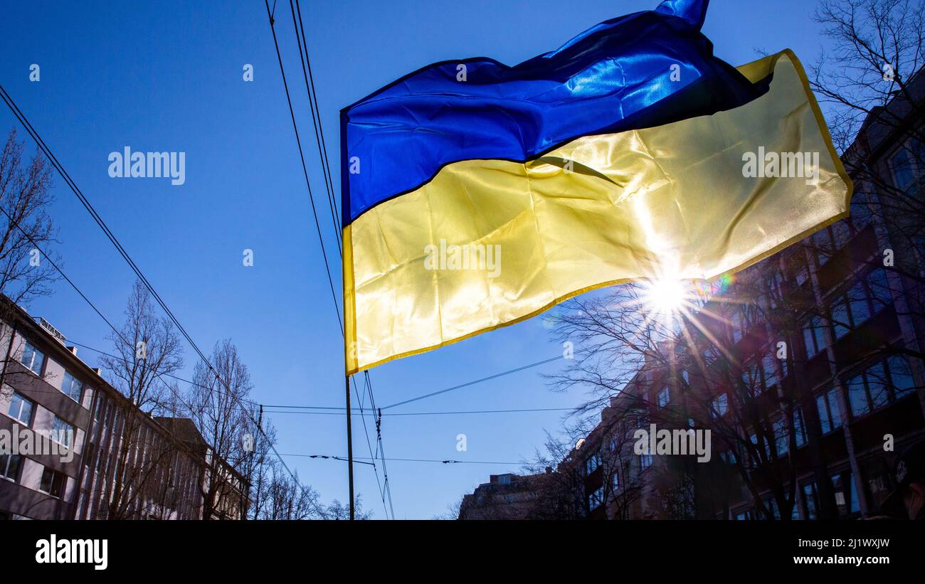 Ukrainian National Flag Against Blue Sky , Sun Rays Backlight, Ukraine ...