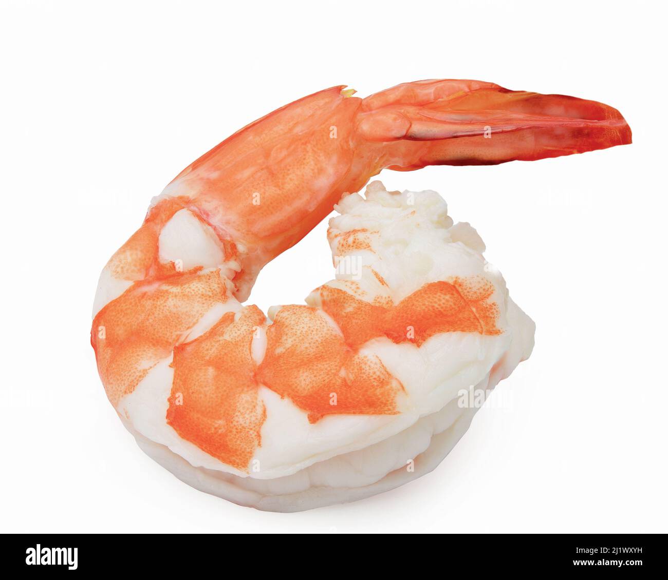 Large White Shrimp Pictures