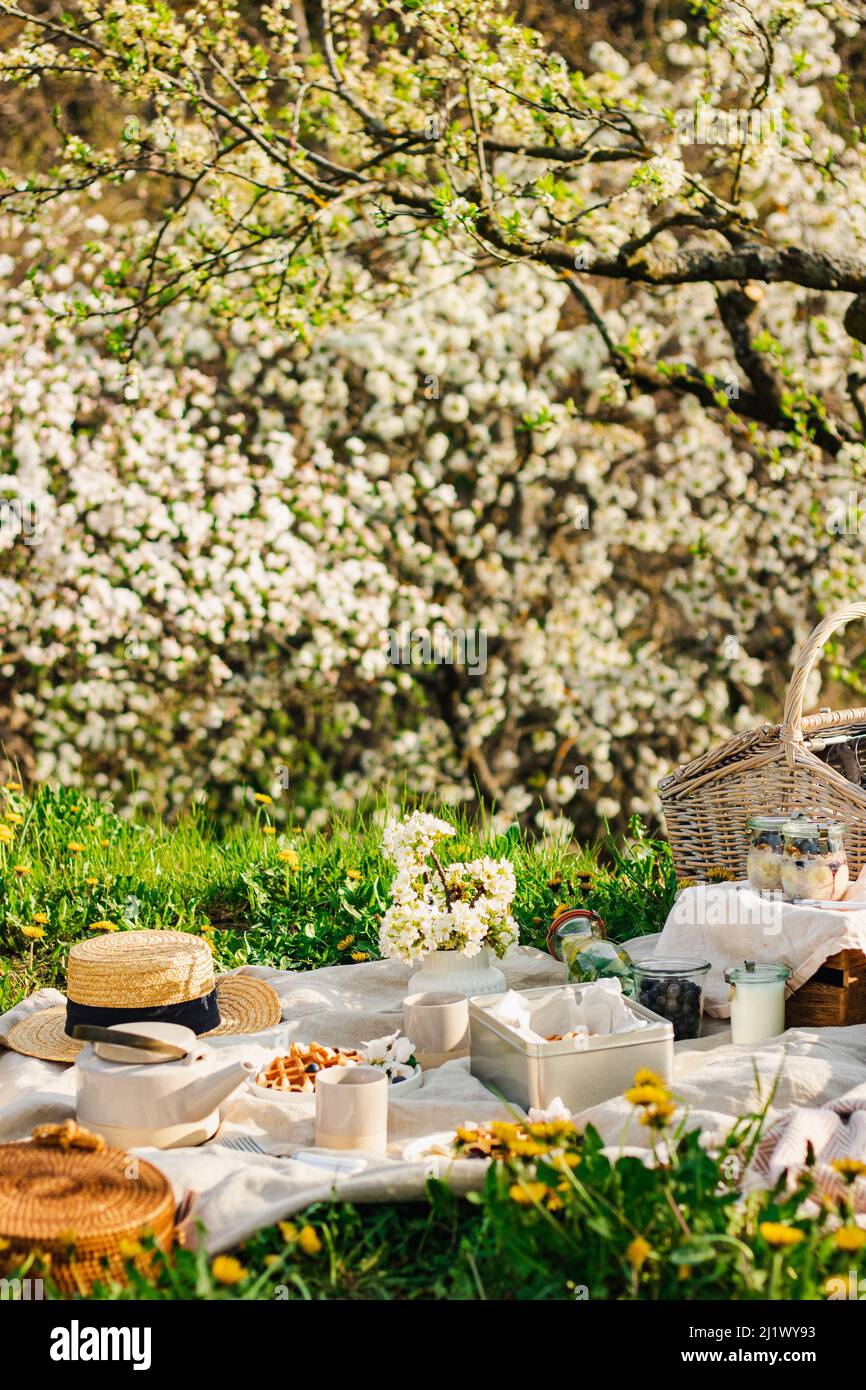 Spring cherry blossom trees picnic hi-res stock photography and images ...