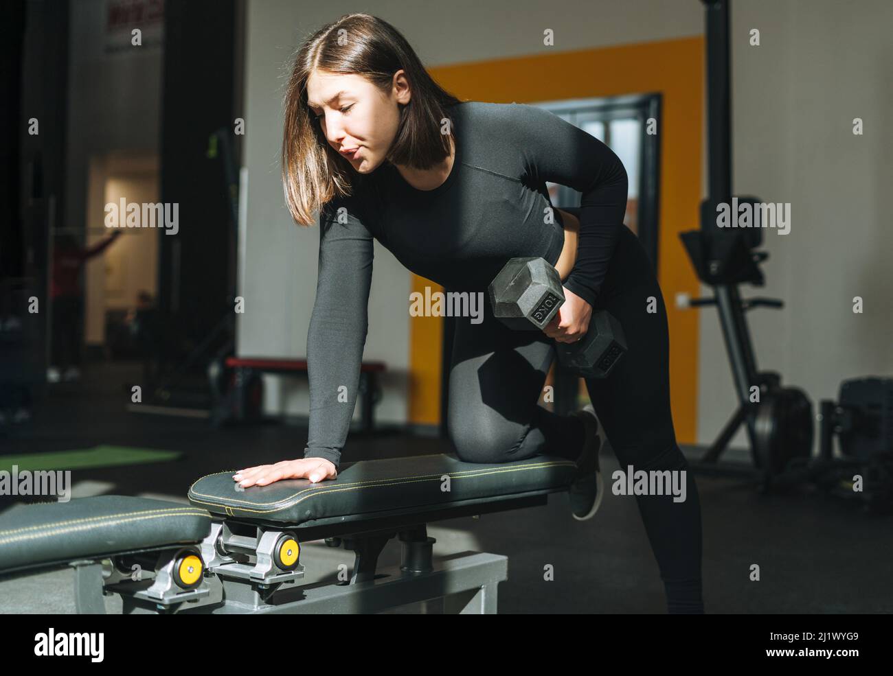 Young brunette woman shakes her muscles with dumbbells on bench in ...
