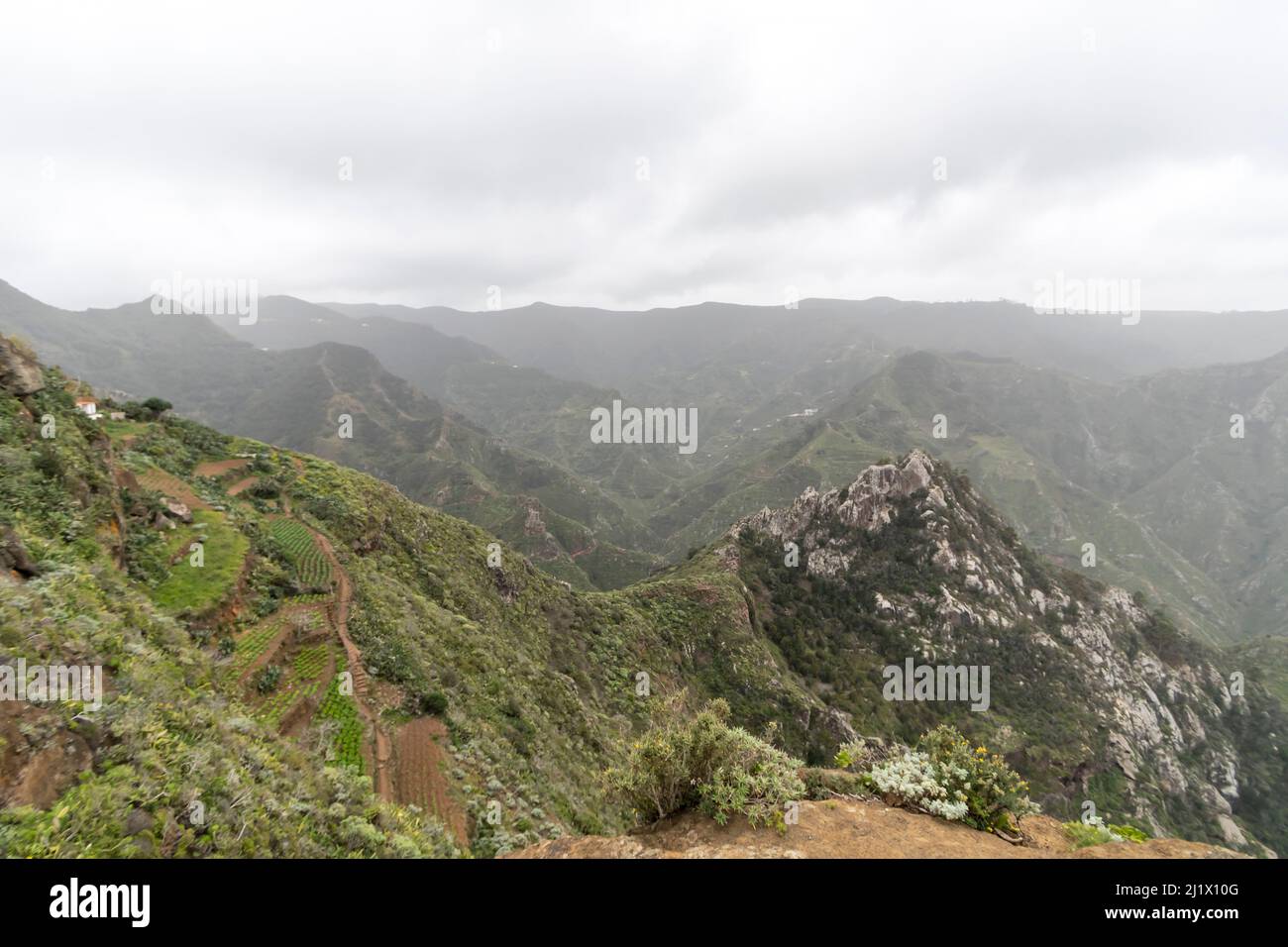 Anaga mountains, steep slopes covered with green and lush forest : A ...