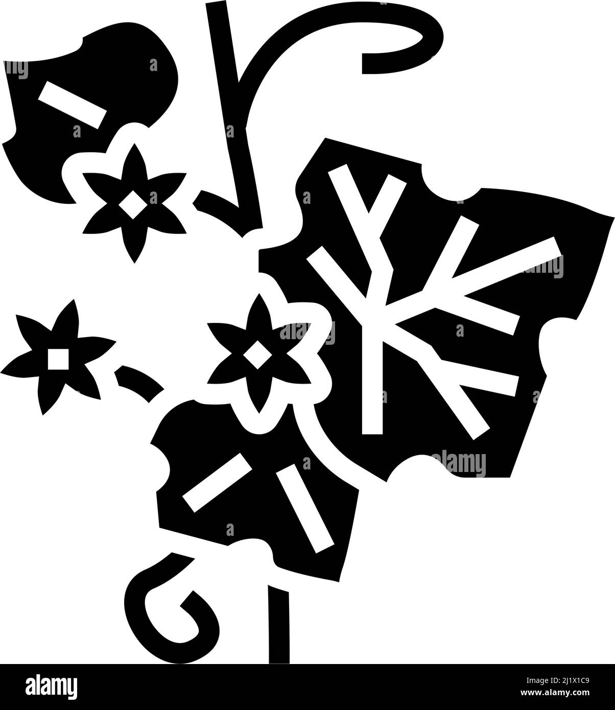 The chopped leaf Black and White Stock Photos & Images - Alamy