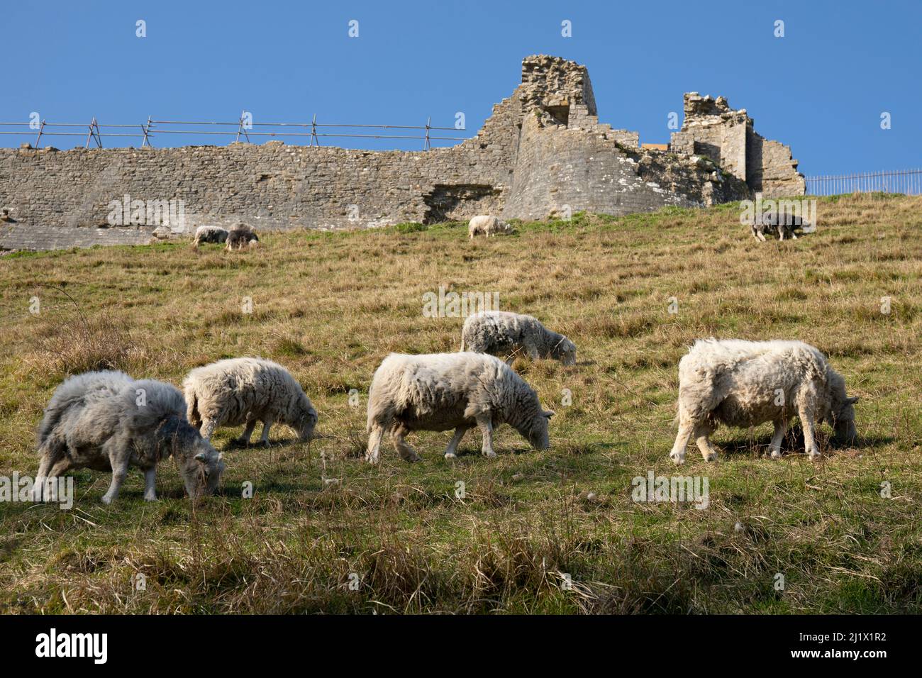 Steam train corfe castle hi-res stock photography and images - Alamy