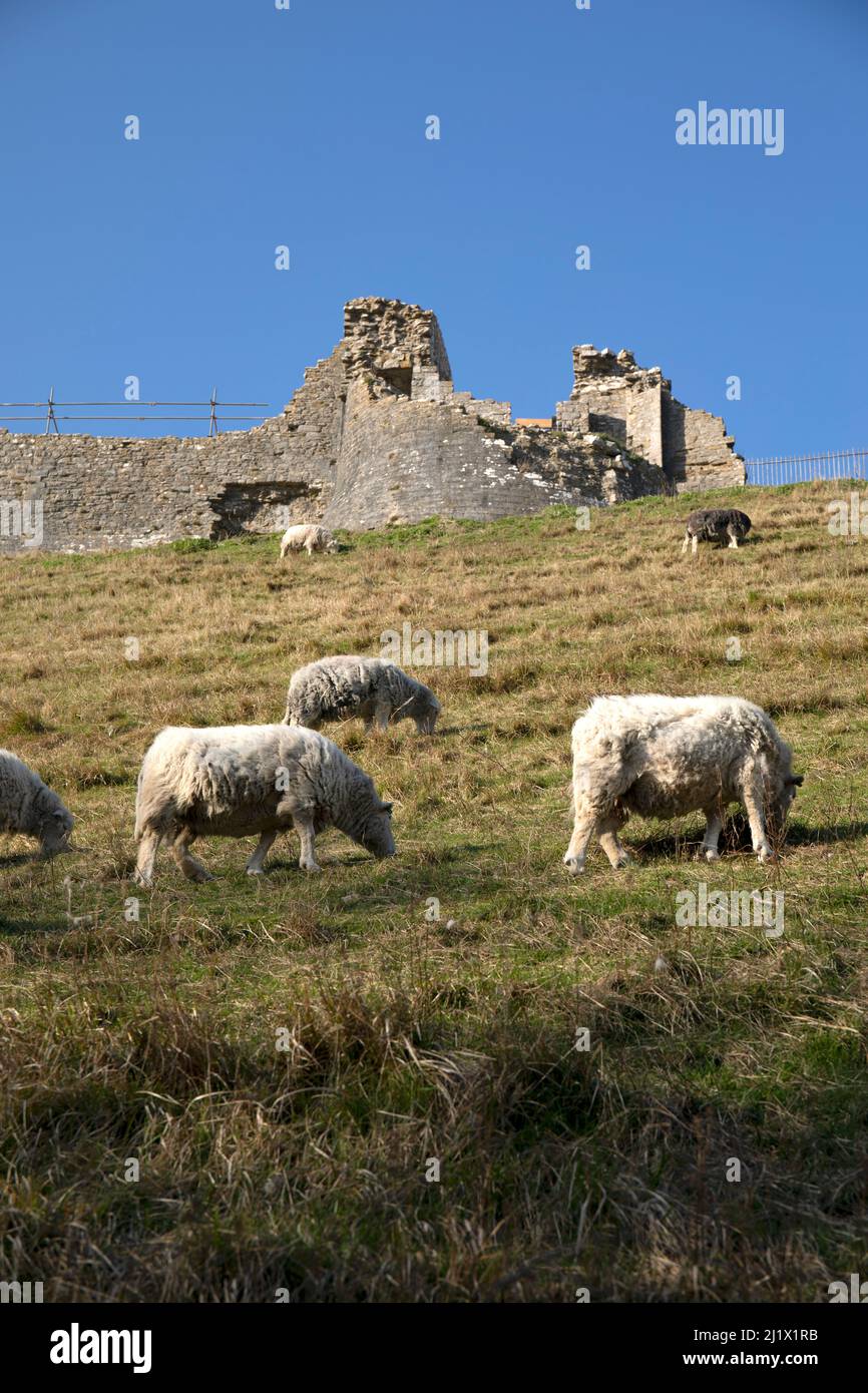 Steam train corfe castle hi-res stock photography and images - Alamy